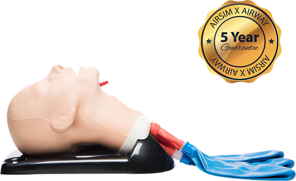 AirSim Advance X | More Than Simulators