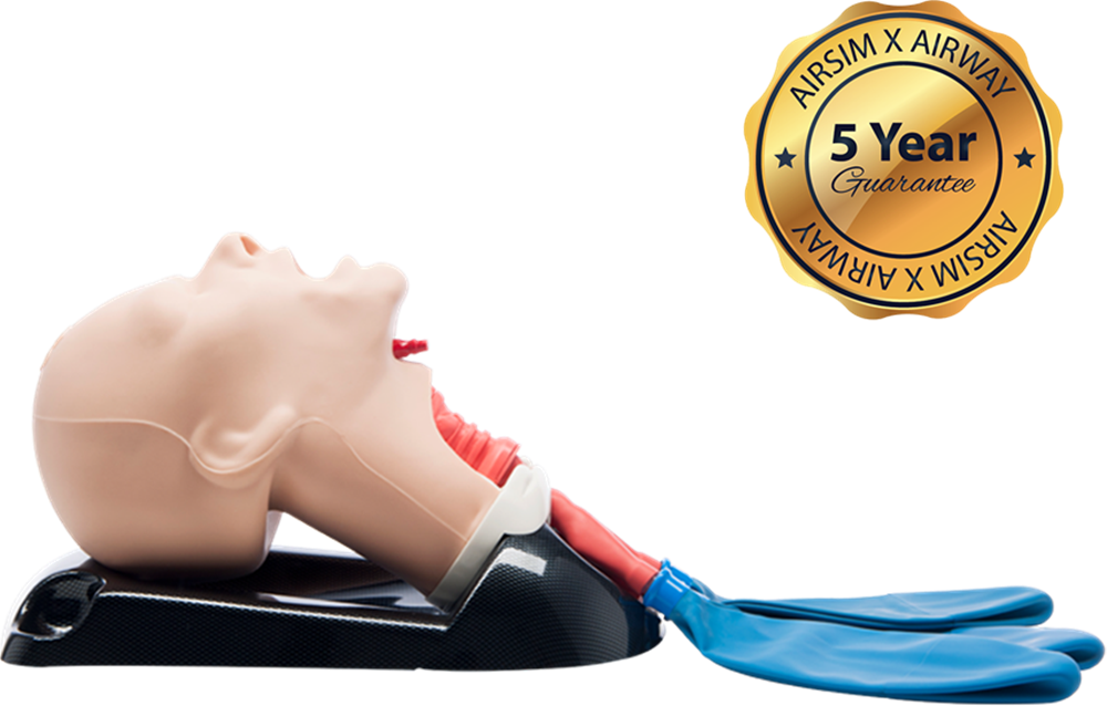 AirSim Combo X | More Than Simulators