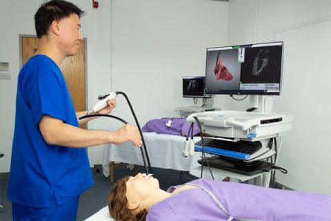 HEARTWORKS DUAL - TTE AND TEE ULTRASOUND | More Than Simulators