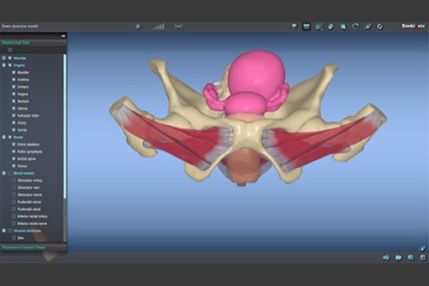 Pelvic Mentor - Pelvic Exam Training | More Than Simulators