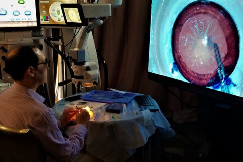 CATARACT KIT - Cataract surgery wet lab | More Than Simulators