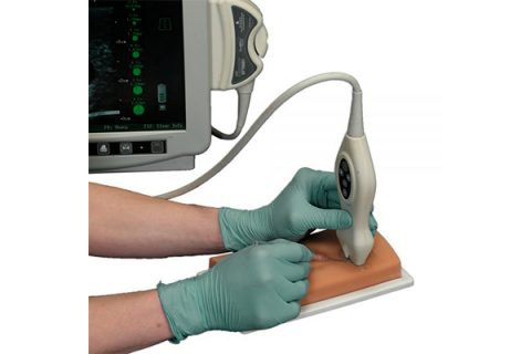 FANTOMA DE ECOGRAFÍA DE ACCESO VASCULAR - VAUP | More Than Simulators