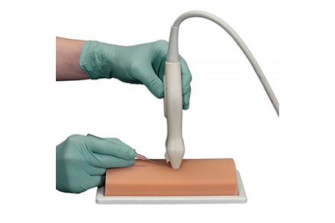 FANTOMA DE ECOGRAFÍA DE ACCESO VASCULAR - VAUP | More Than Simulators