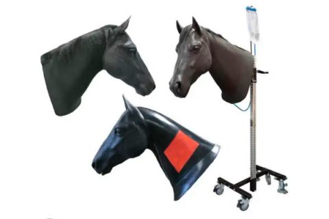 Equine Neck for venipuncture and IM injection | More Than Simulators