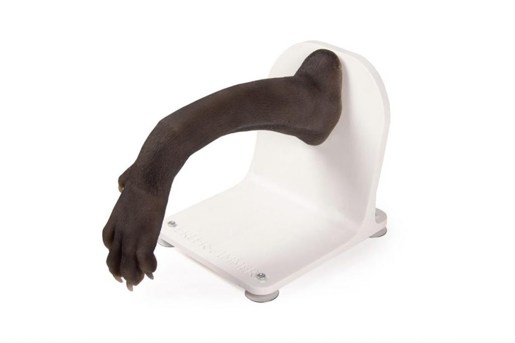 CANINE BANDAGING TRAINER | More Than Simulators CANINE BANDAGING TRAINER | More Than Simulators