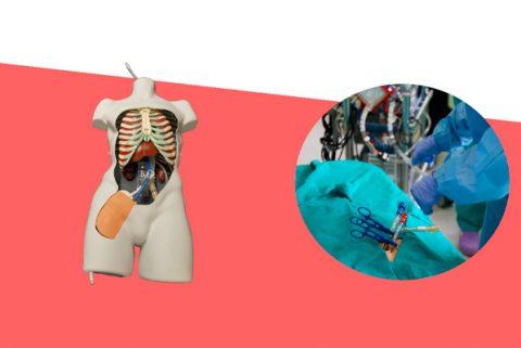 NRP and REBOA task trainer - PerfusionSIM | More Than Simulators