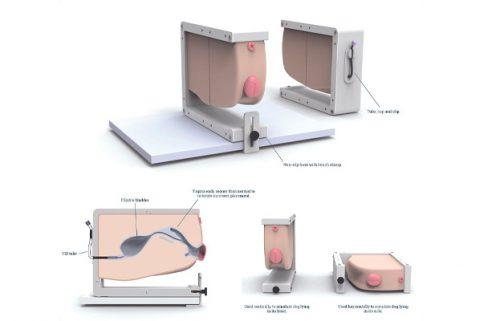Canine bladder catheterisation simulator - Female | More Than Simulators