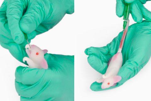 Mouse model for venous access and drug administration | More Than ...