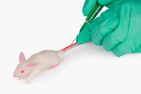 Mouse model for venous access and drug administration | More Than ...