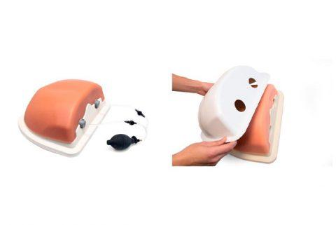 X-ray image-guided thoracic spine injection simulator | More Than ...