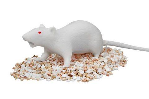 Laboratory rodent simulator - NATSUME RAT | More Than Simulators